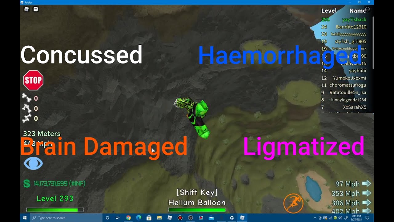 Roblox Broken Bones Concussed, Haemorrhaged, Brain Damaged, and ...