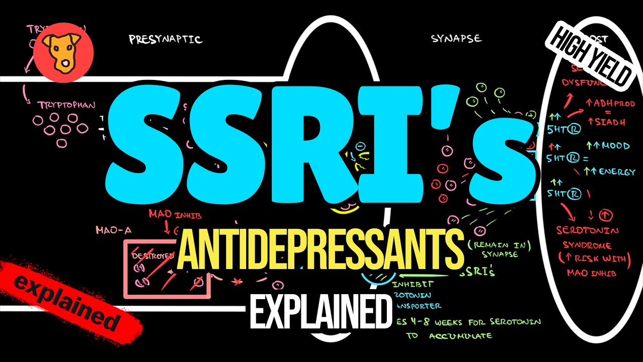 SSRIs EXPLAINED: Mechanism, Side Effects & Pharmacology (USMLE High ...
