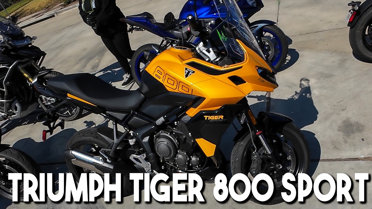 My Favorite Triumph Motorcycle Yet... - YouTube