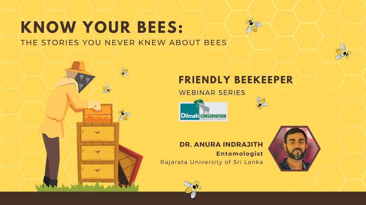 Know Your Bees: The Stories You Never Knew about Bees - YouTube