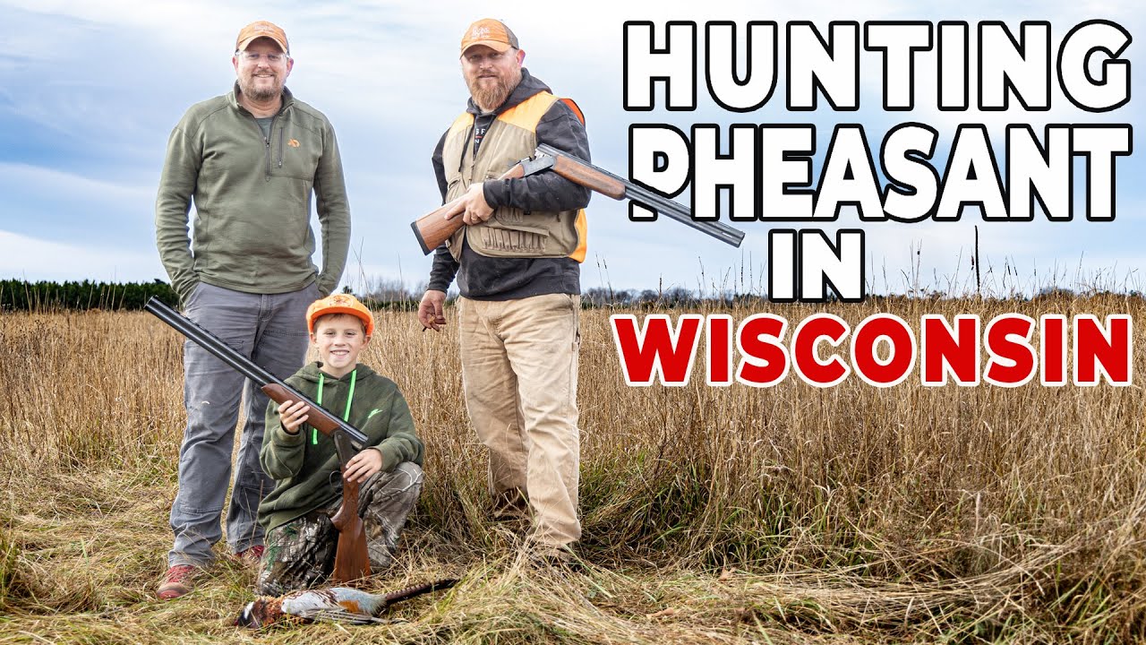 Hunting Pheasants in Wisconsin - YouTube