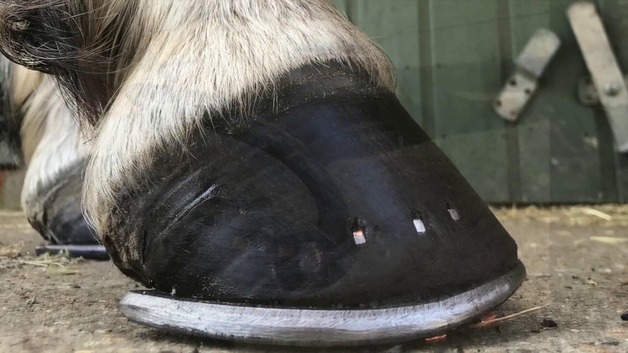 The Full Rolled Motion Toe Shoe - YouTube