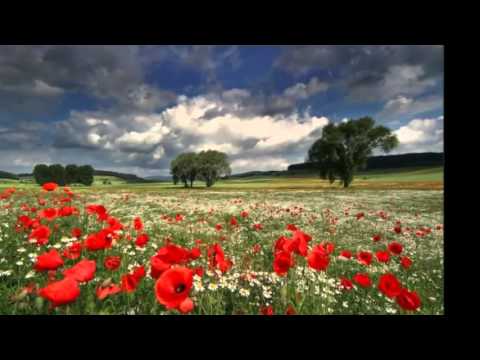 özgür Akdemir Su Misali