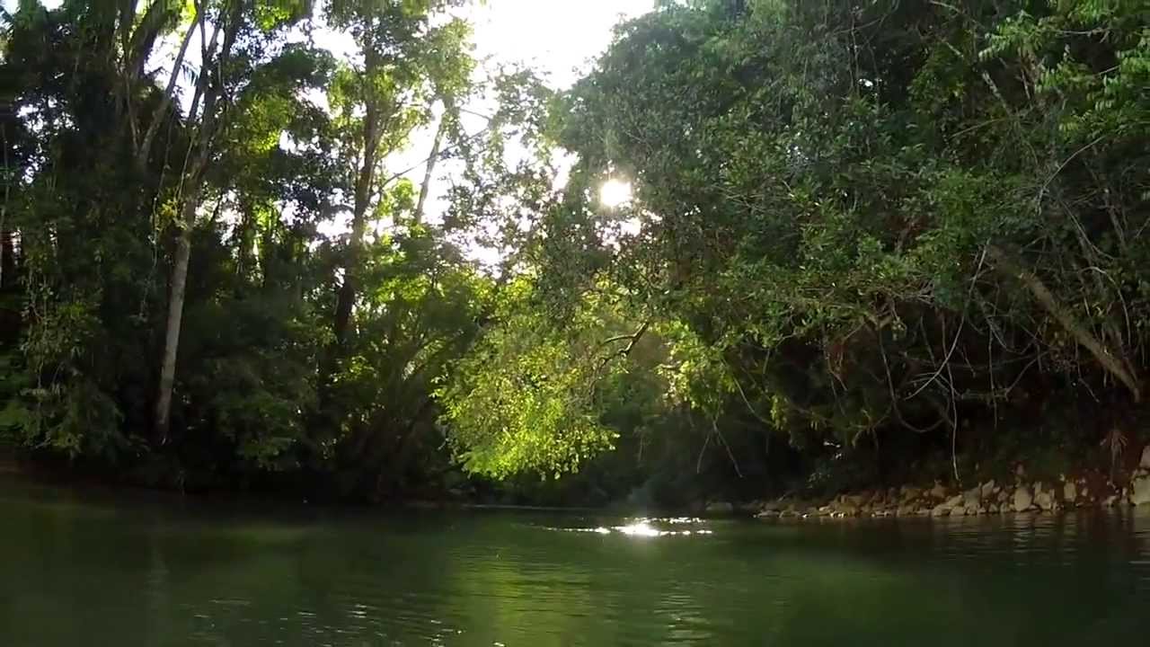 Discover Hamanasi Adventure & Dive Resort in Belize. - YouTube