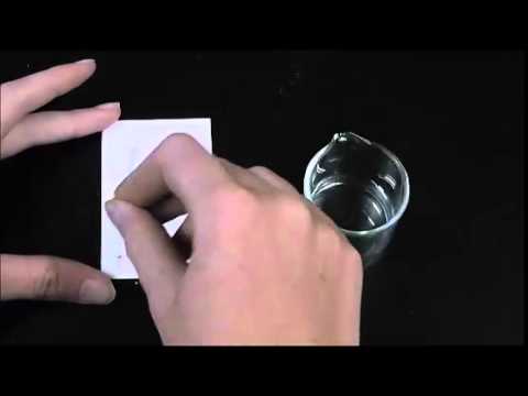 TRU Chemistry labs: How To Prepare and Develop Thin Layer ...