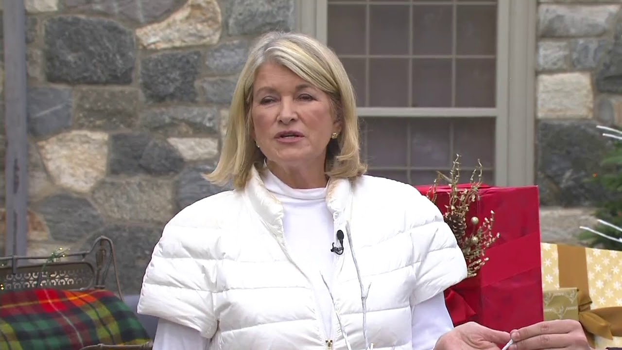 Martha Stewart Indoor/Outdoor 4' or 6' Lit White Bark Twig Tree on QVC ...