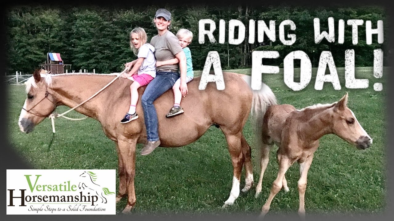 Riding A Mare With A Foal // Versatile Horsemanship - YouTube