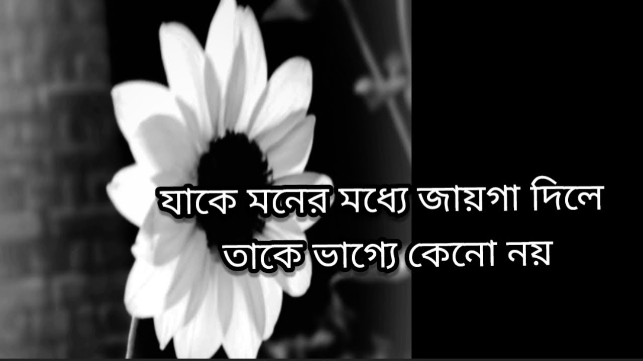 Bengali Status |Sad Status | love status | Kobitay Tripti | jake mone jaiga dile take vagge keno ...