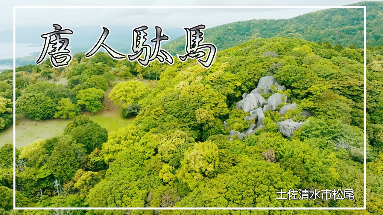 唐人駄馬 Tojindaba - YouTube