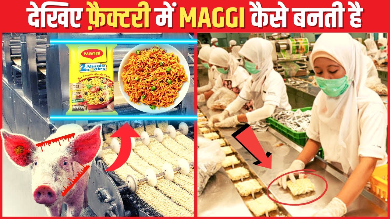 देखिए Factory में MAGGI कैसे बनती है? Shocking Process of Maggi Noodle ...