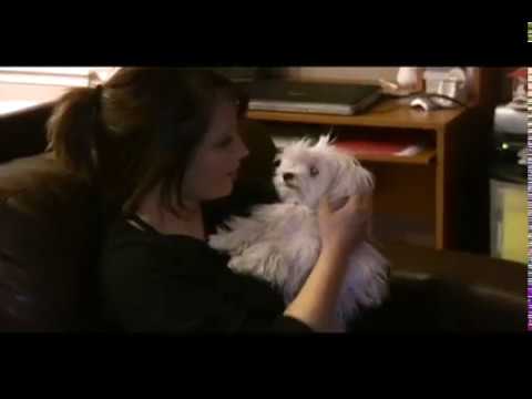 MTV cribs the rapper - YouTube