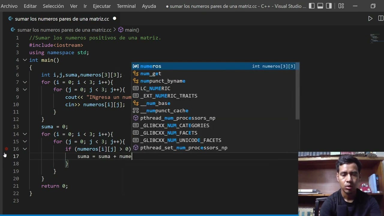 Suma los números positivos de una matriz c++ - YouTube