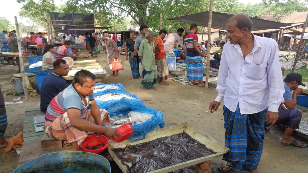 Amazing Fish market Roadside fish market in Bangladesh Boidanga Bazare ...