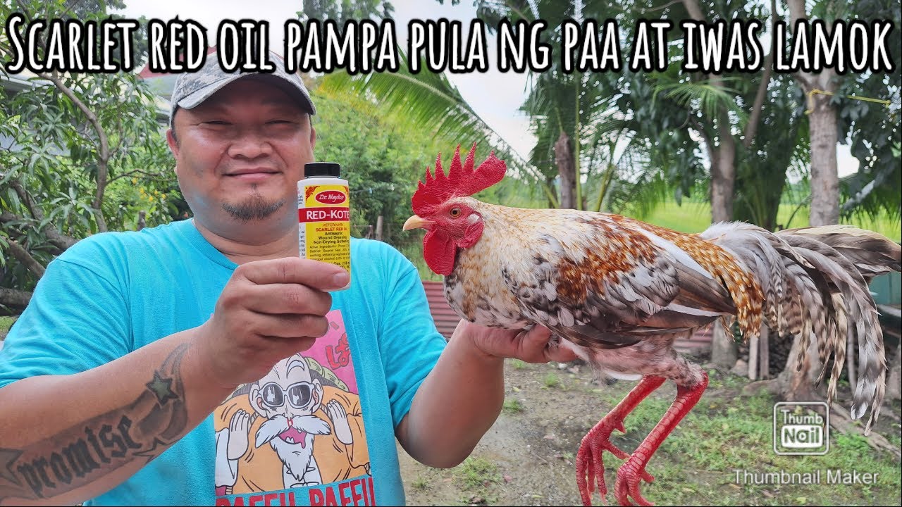 Red Kote Scarlet Red Oil - YouTube