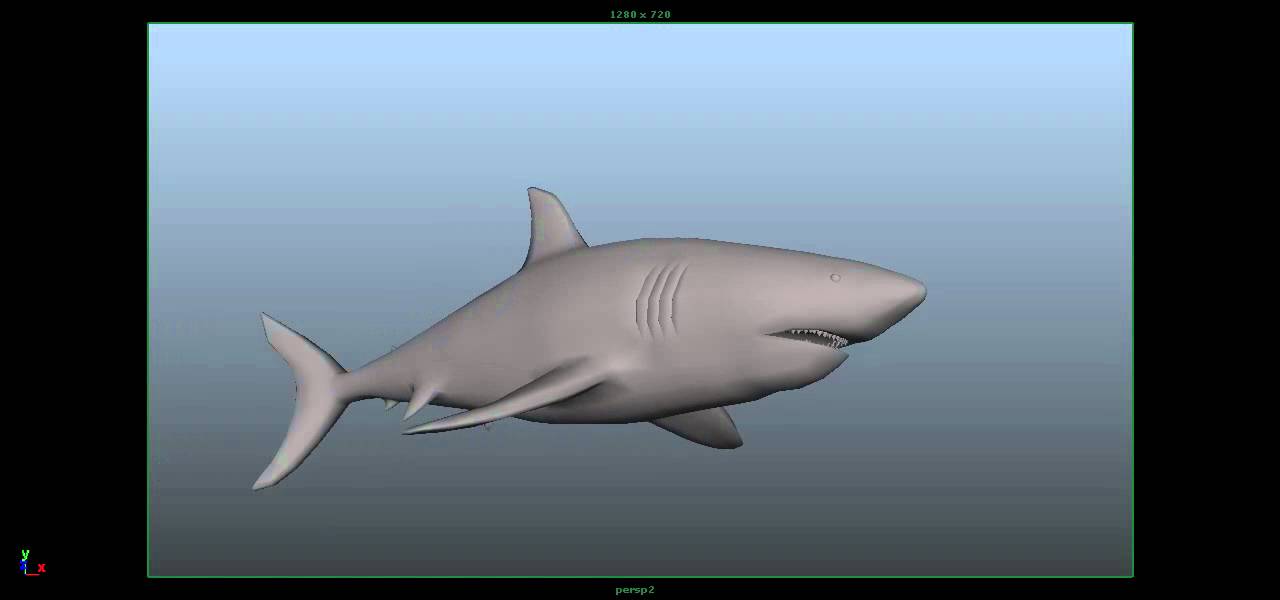 Shark Swim Loop (on curve) - YouTube