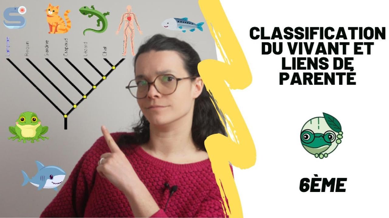Classification et liens de parenté - 6ème - Madame SVT - YouTube