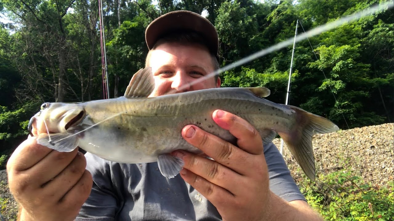 Temu Catfishing Challenge!?!?!?! Epic Fails - YouTube