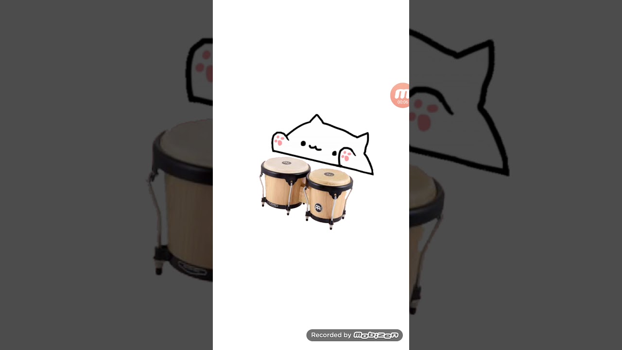 the bongo cat app - YouTube