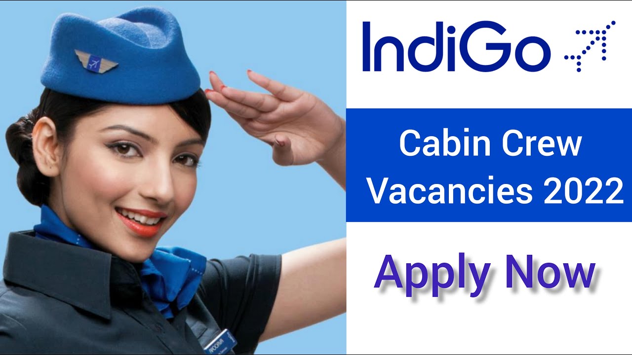 Indigo Airlines hiring 12th Pass Freshers as Cabin Crew 2022 Job ...