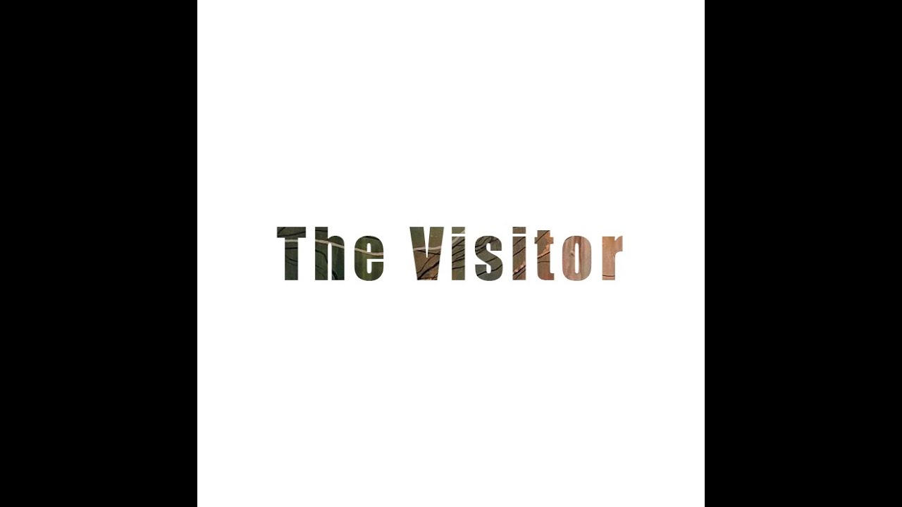 THE VISITOR - YouTube