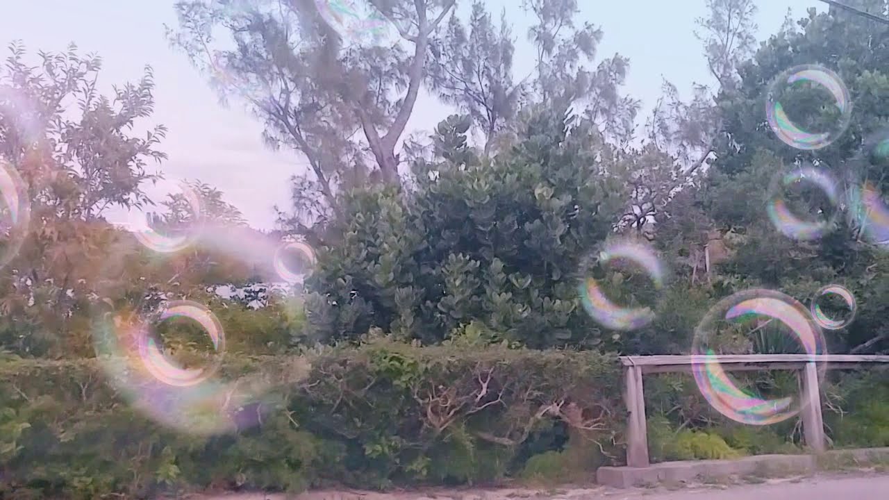 Bermuda Drive. Wreck Road, Sandys Bermuda 🇧🇲 - YouTube