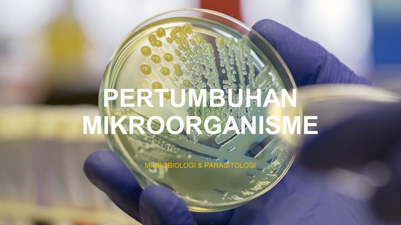 Teknik Dan Cara Sterilisasi Pada Mikrobiologi Ilmu Pe