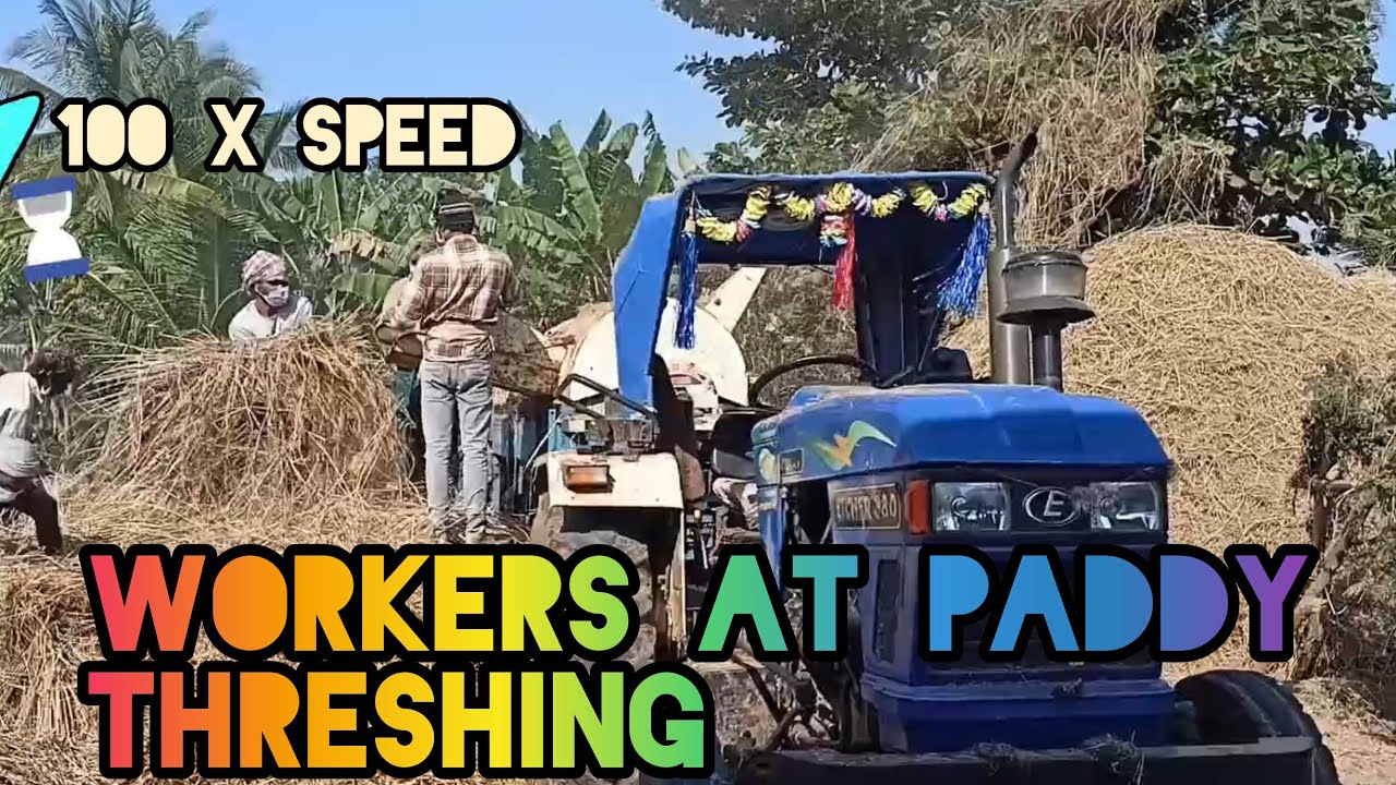 100 x speed Workers at Paddy threshing - YouTube