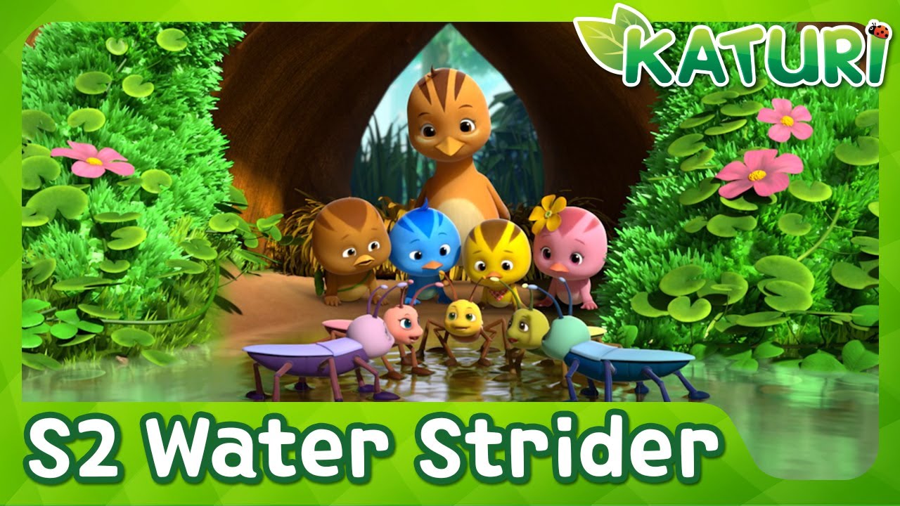 [Katuri S2] Water Strider Running on Water 1 | S2 EP49 - YouTube