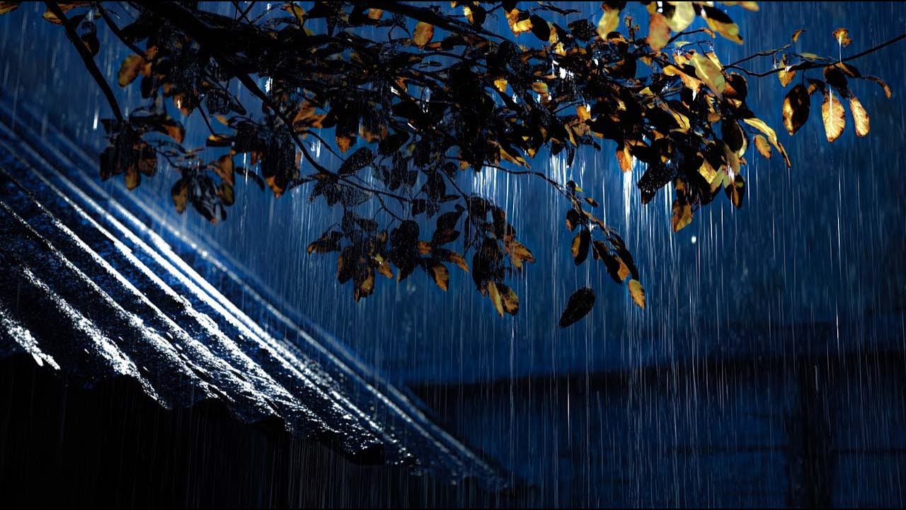 Sleep Immediately When There Is Heavy Rain Wind and Thunder at Night ...