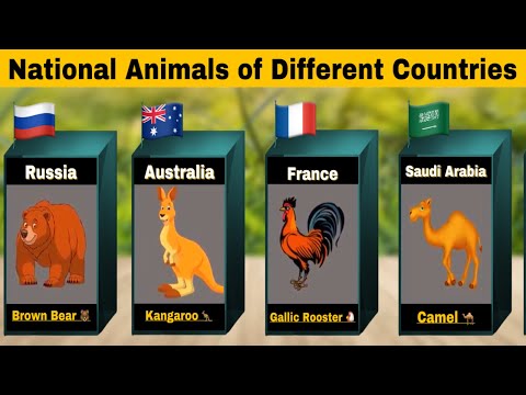 National Animals of Different Countries - YouTube