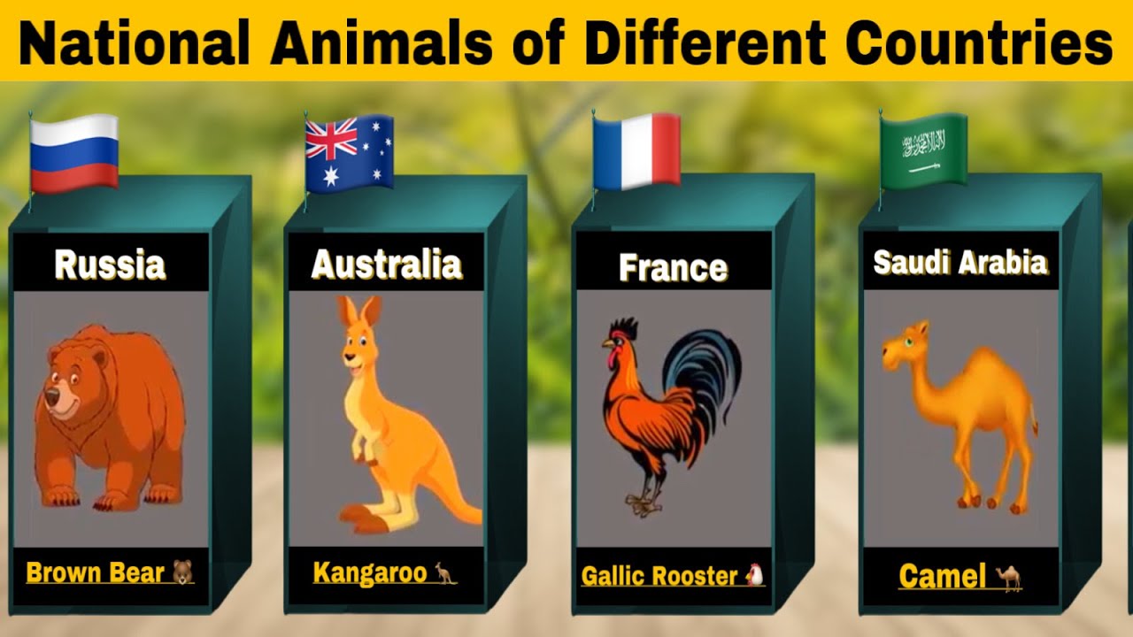 National Animals of Different Countries - YouTube
