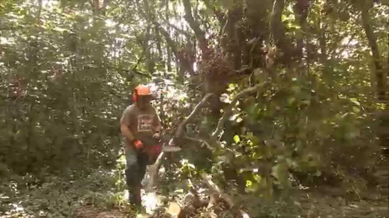 Shiver Me Timbers - YouTube