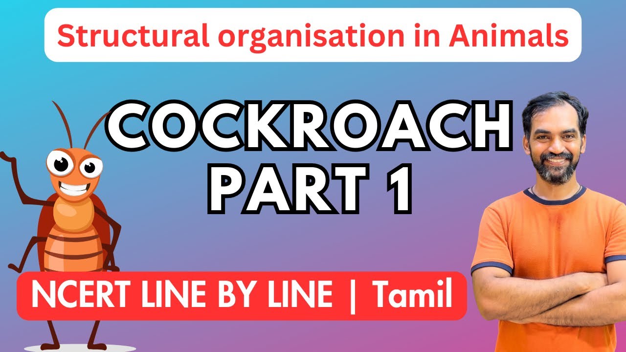 Cockroach in Tamil | Part 1 | NCERT Line by line - YouTube