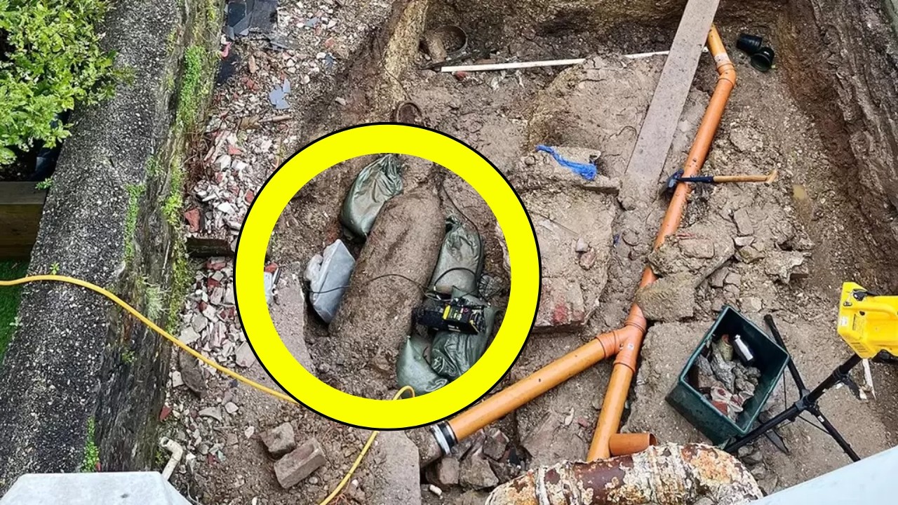 Man Digging In His Garden Uncovers A Frightening Sight That Sends Him ...