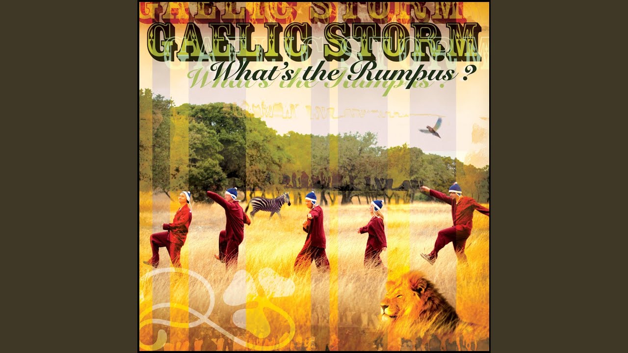 What's the Rumpus? - YouTube Music