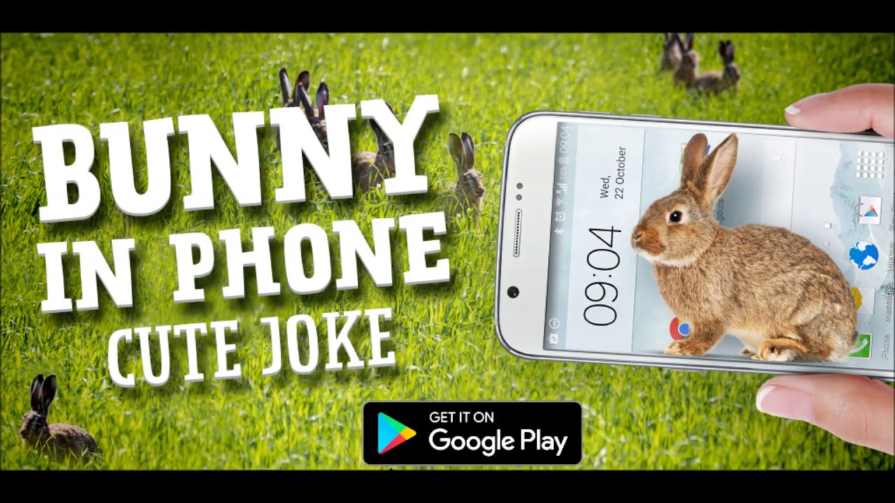 Bunny in Phone Cute joke - Android App - YouTube