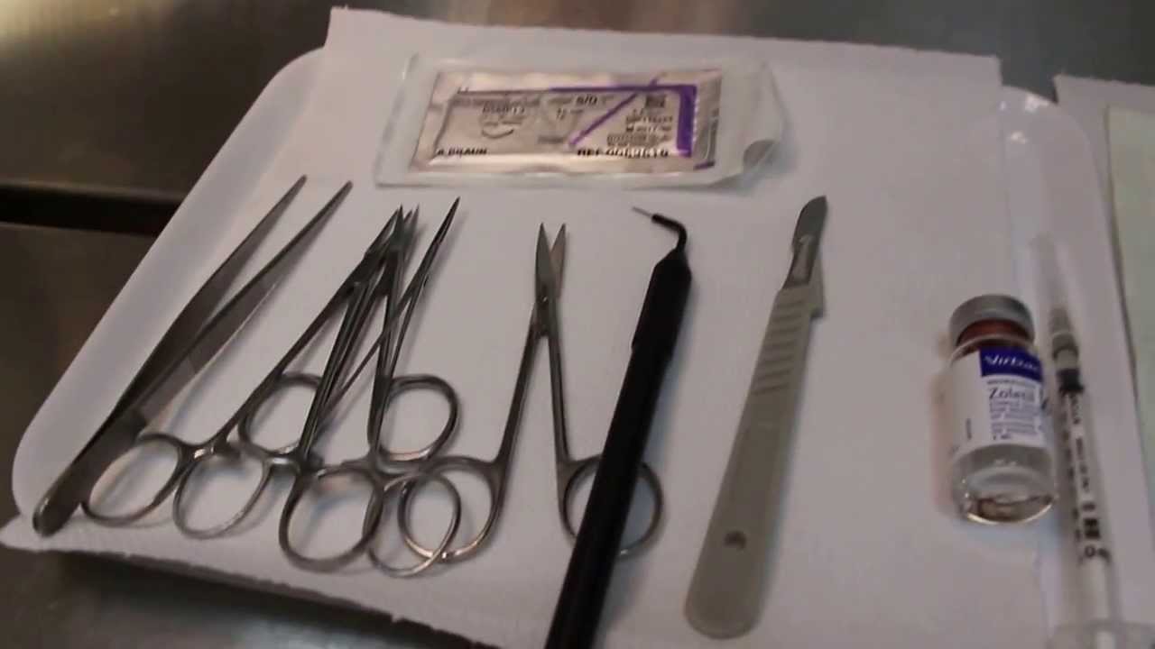 Video 4: Anaesthesia & Surgery of a Dwarf Hamster at Toa Payoh Vets ...