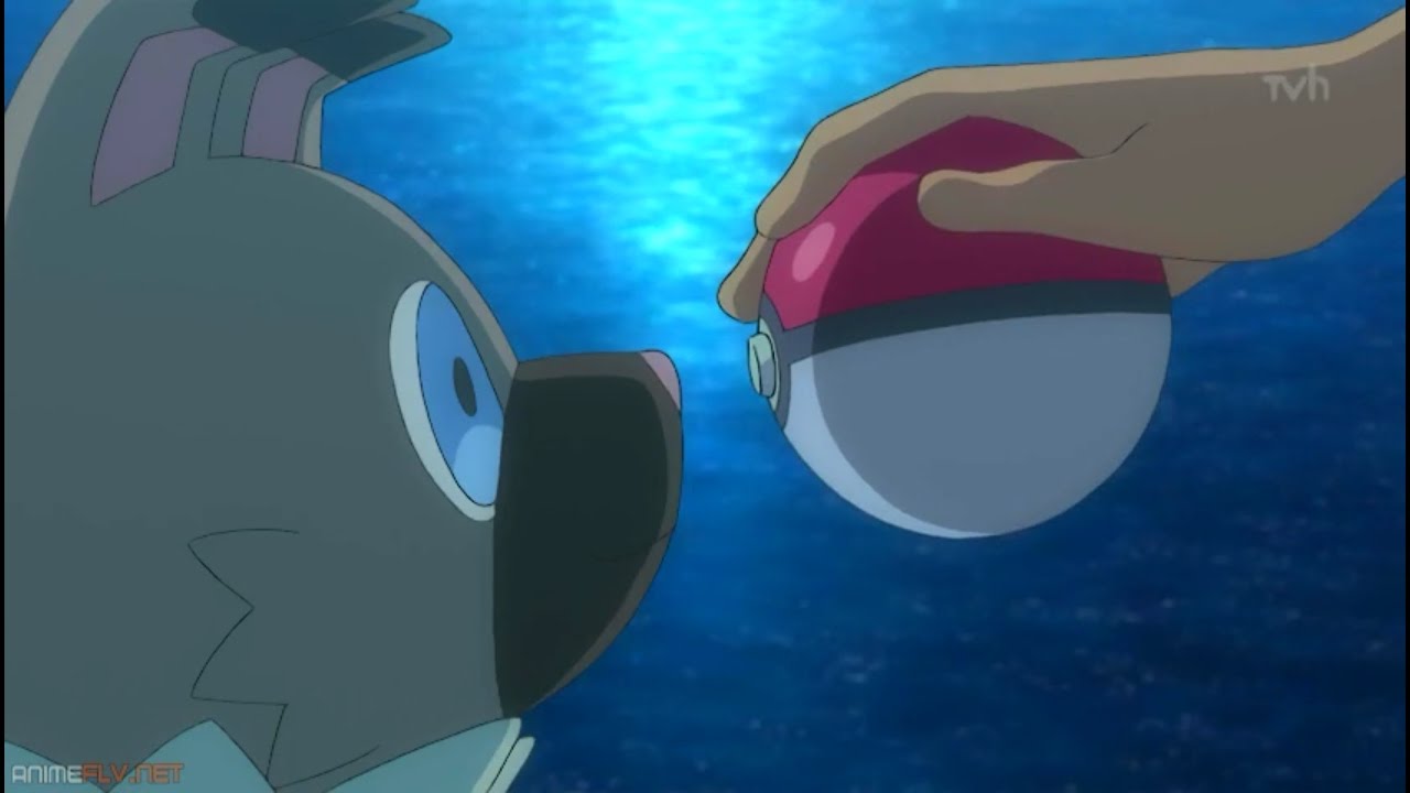 ASH CAPTURA a ROCKRUFF!! CONFIRMADO NUEVA CAPTURA en POKEMON SOL Y LUNA ...