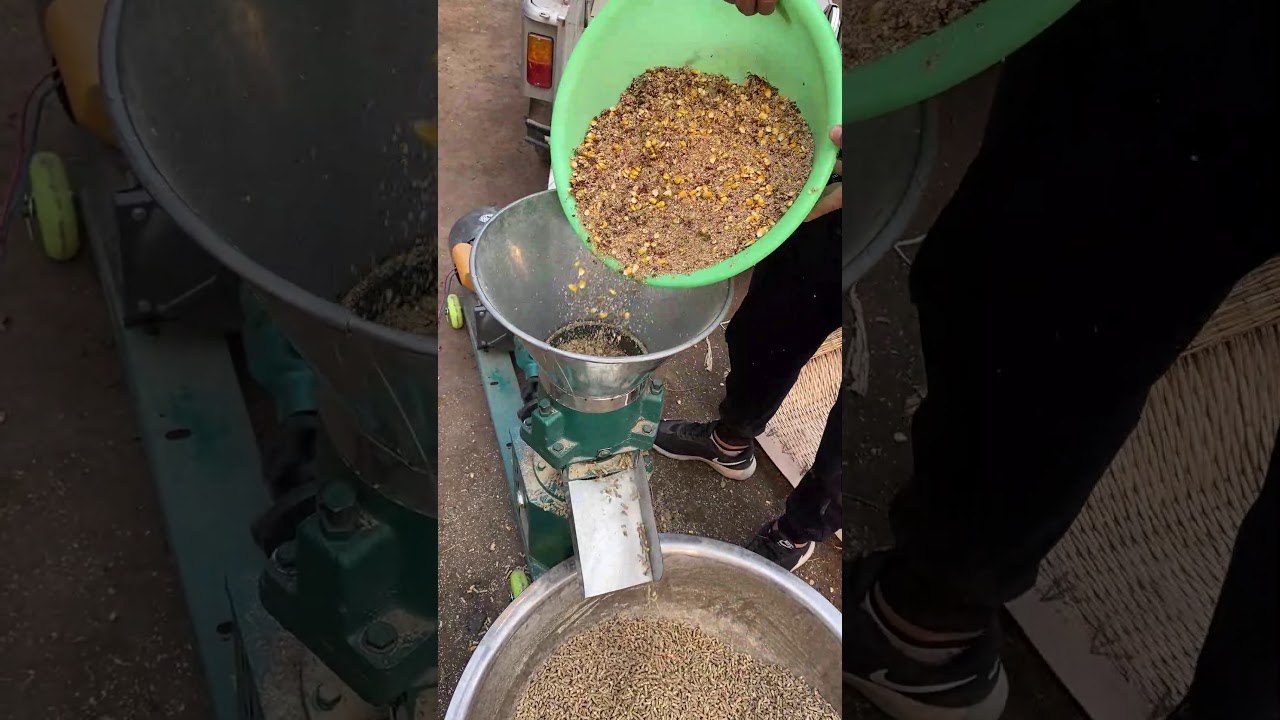 Easy Home Made Feed Making Livestock Food Pellet Machine - YouTube