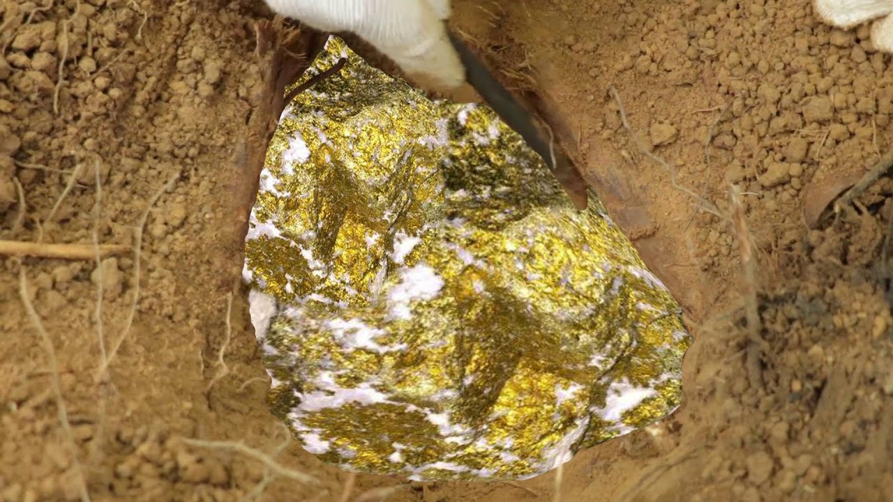 Surprised discovery! Bring gold-digging tools to hunt for treasure in ...