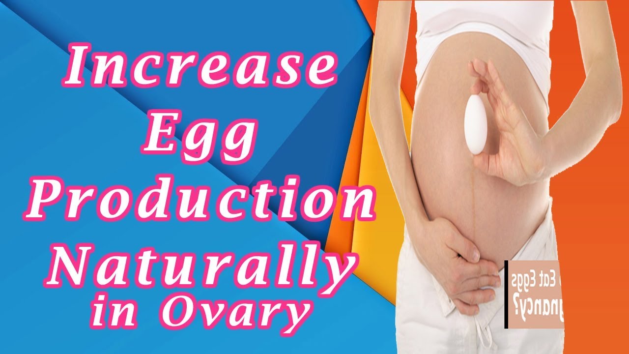 How to Increase Egg Production in Ovary | Best Ways to Increase Egg Production Naturally - YouTube