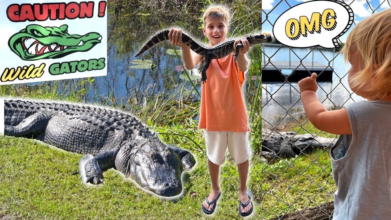 We Took Our Kids Boating With ALLIGATORS 🐊 - YouTube