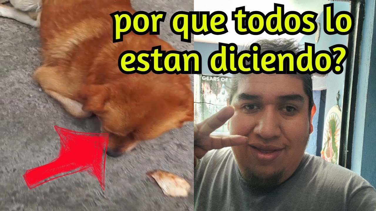 Que significa "ECHARLE CAL AL PELUCHE" - YouTube