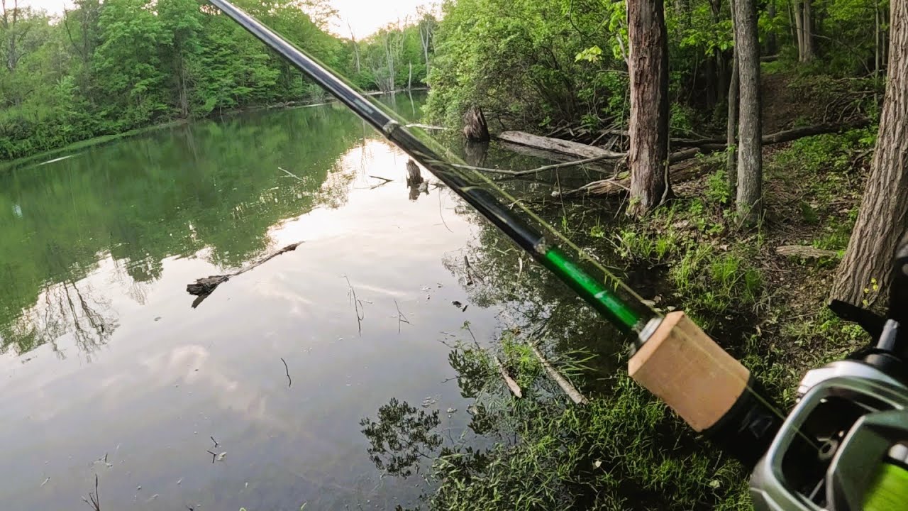 Handing M1 trout BFS, The Gamechanger - YouTube
