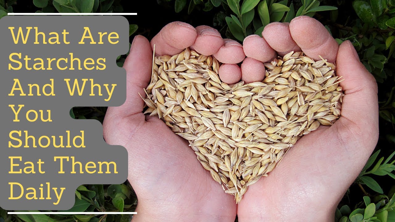 What Are Starches And Why You Should Eat Them Daily - YouTube