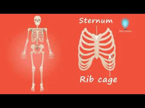 Jordan / Amman / Fifth Circle - YouTube
