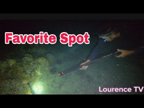 Favorite Spot/ Spearfishing/ Part 1/ Vlog # 648| LTV #viralvideo - YouTube