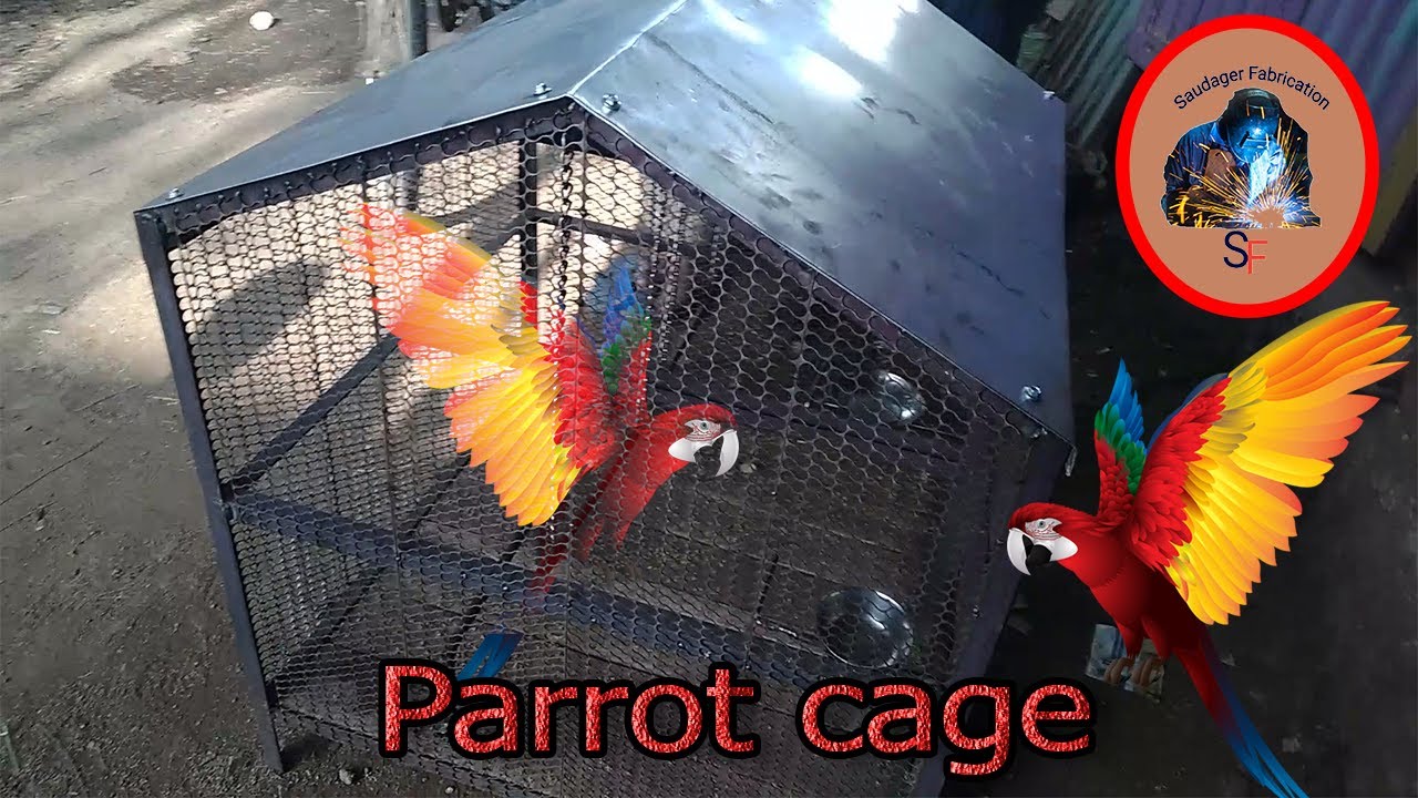 Parrot & Bird Cage || Cage Design setup || पोपट और पंछियों के पिंजरा ...