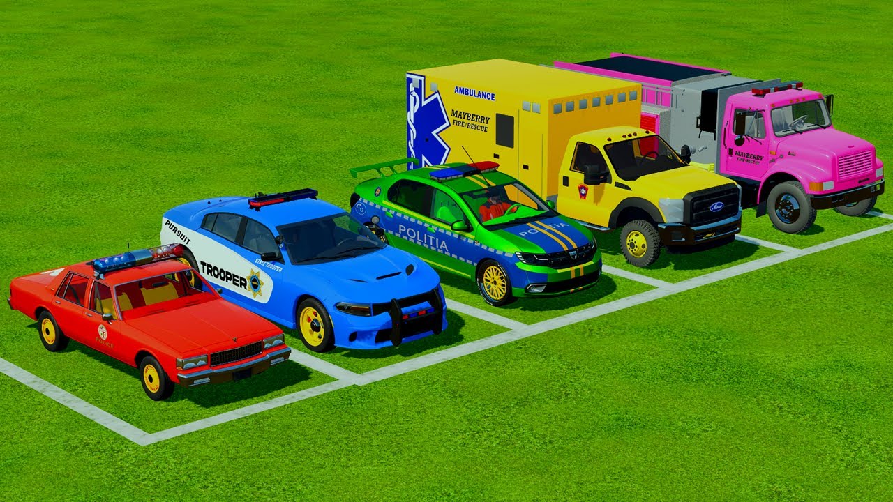 Chevrolet Caprice, Dodge Charger, Dacia Logan, Ford Ambulance ...