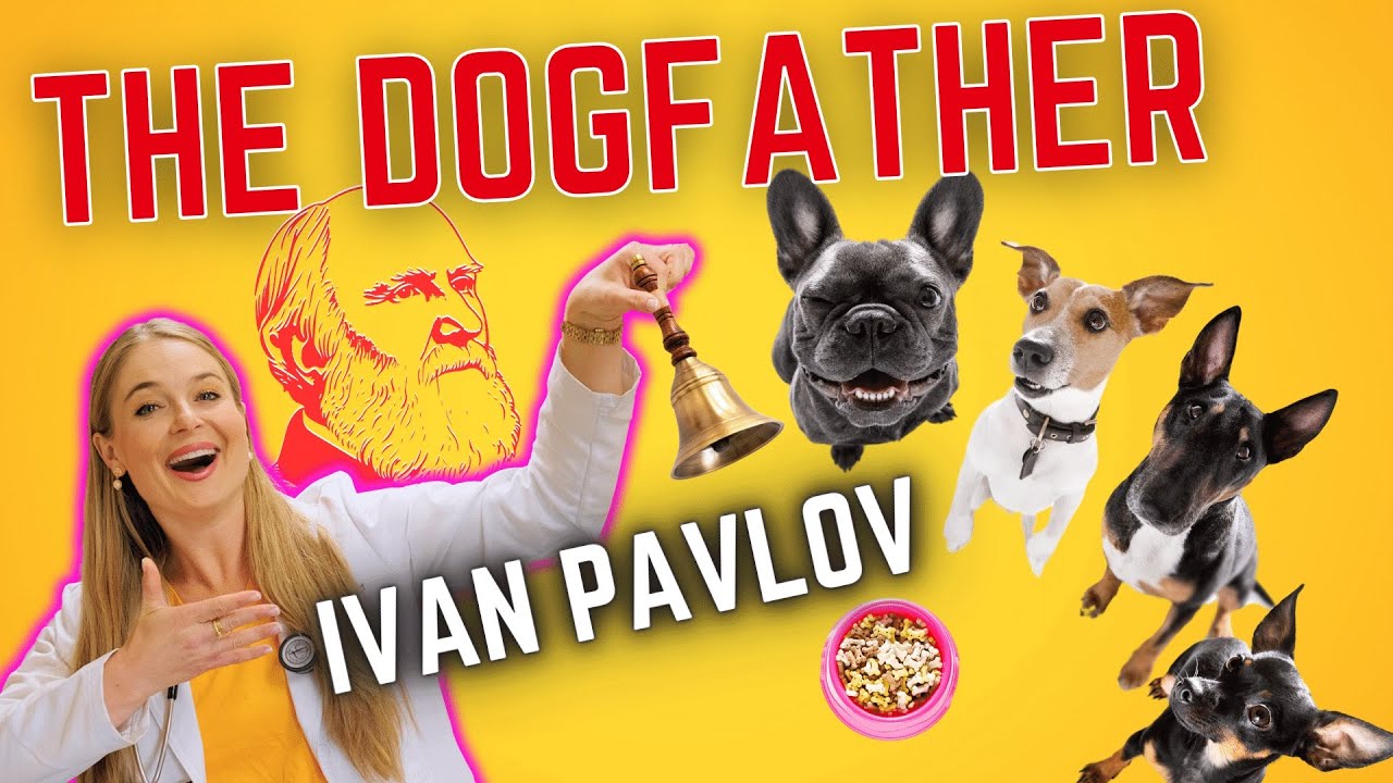 Fascinating Pavlov's Law!! | Dog Experiment from the 1890's even ...